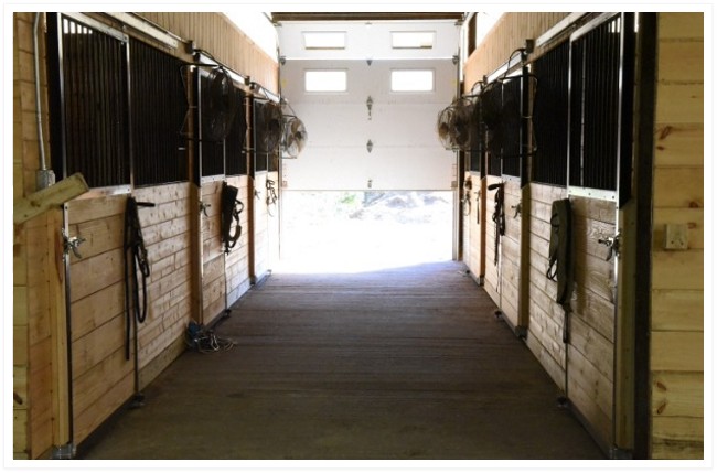 About10 - Legacy Stables Carver